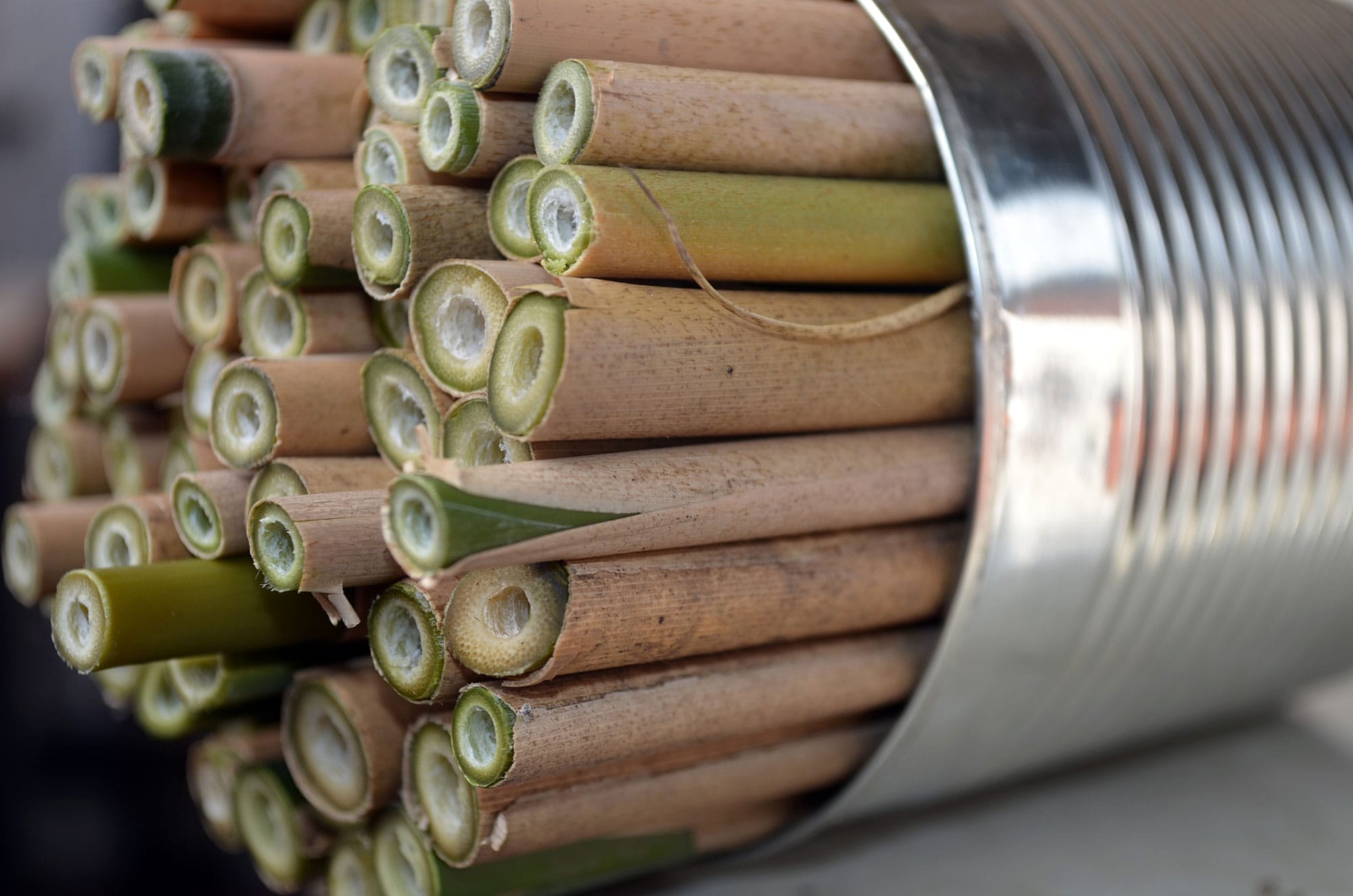 Support Wildlife In Your Garden By Building A Bug Hotel - Premier Lawns